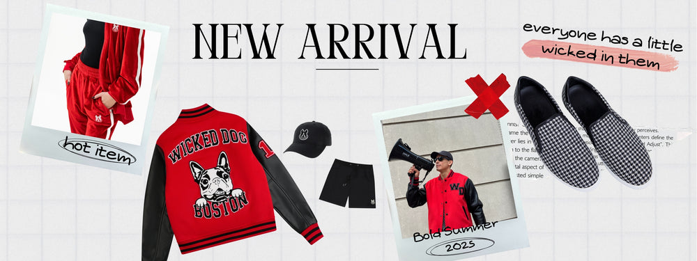 Wicked Boston Clothing & Stylish Dog Apparel Online